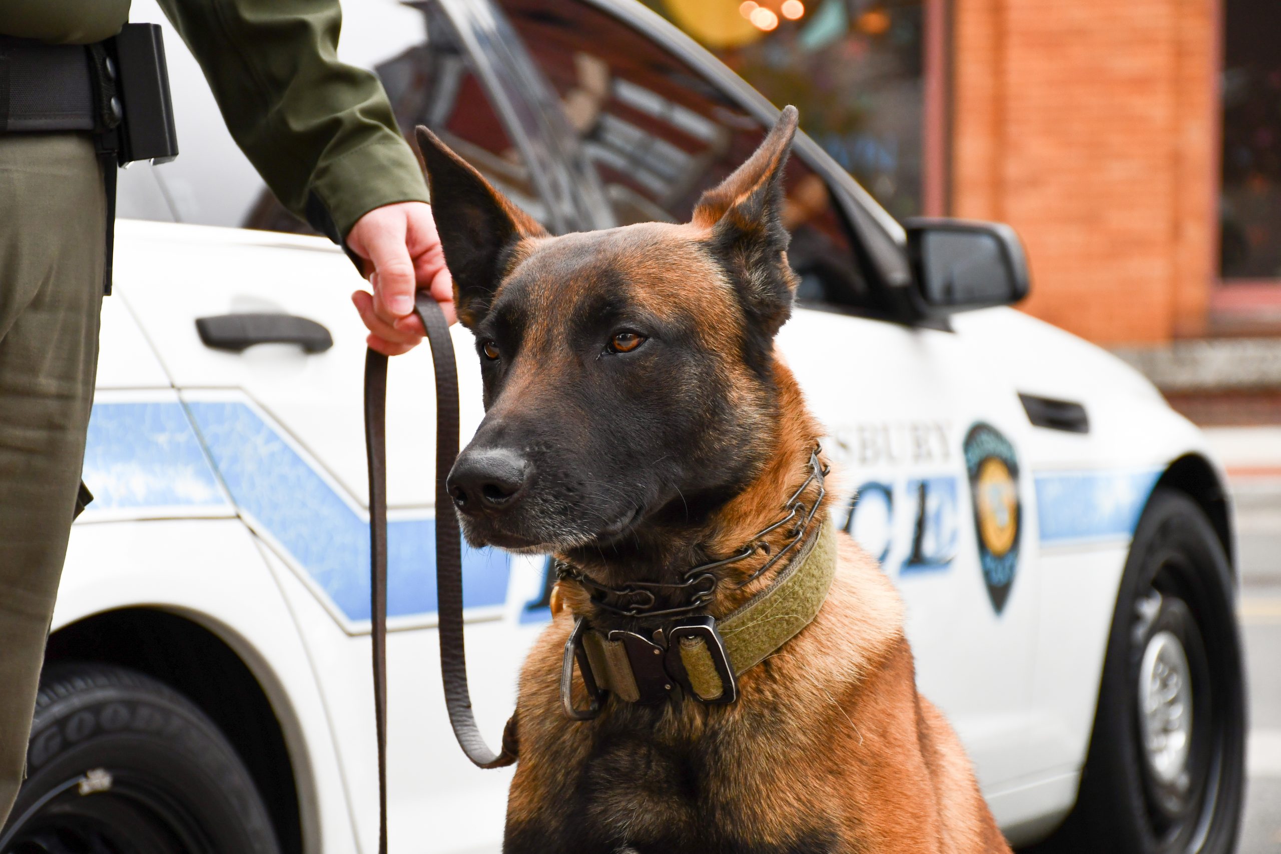 New Police K-9 Joining Salisbury Police Department - City of Salisbury MD