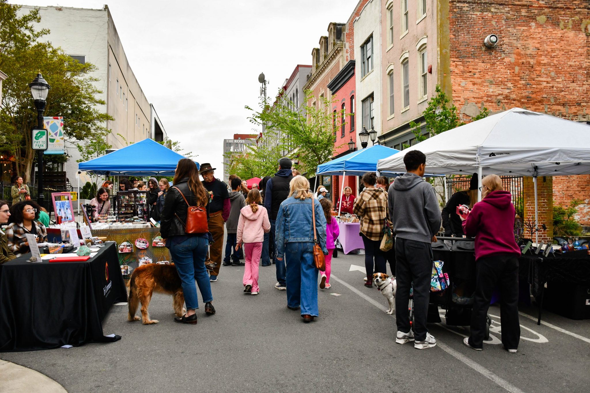 Salisbury, Maryland: A Proud Main Street Maryland Community